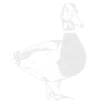 Stoke Lodge Hotel - Hotel, Restaurant, Bar & Events