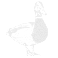 Stoke Lodge Hotel - Hotel, Restaurant, Bar & Events